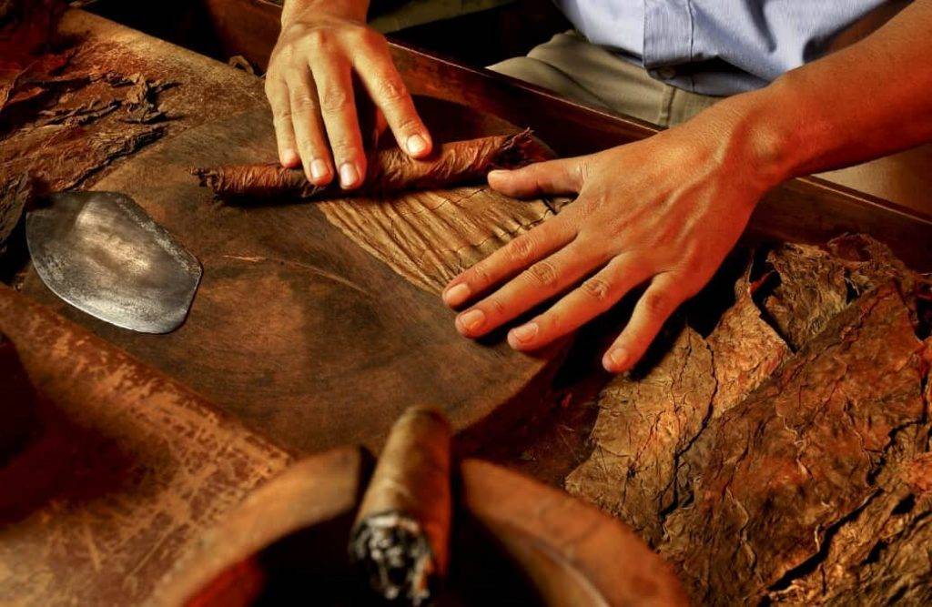 Cigar Tobacco Types Home - ThinkCigar, Cigar Lifestyle